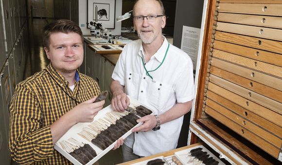 National Museum of Natural History Blog | Smithsonian Magazine