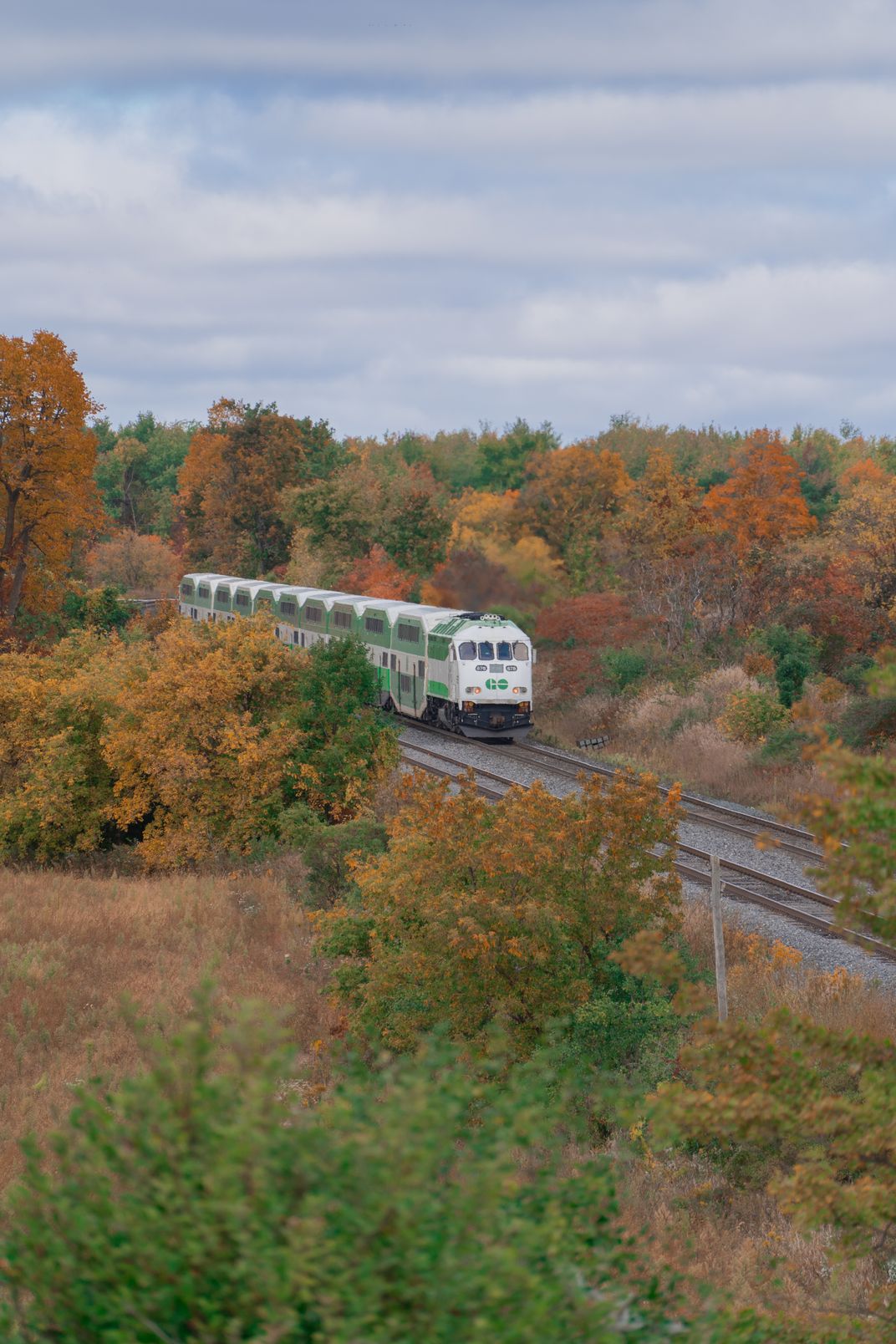 Trekking Through the Tree's | Smithsonian Photo Contest | Smithsonian ...