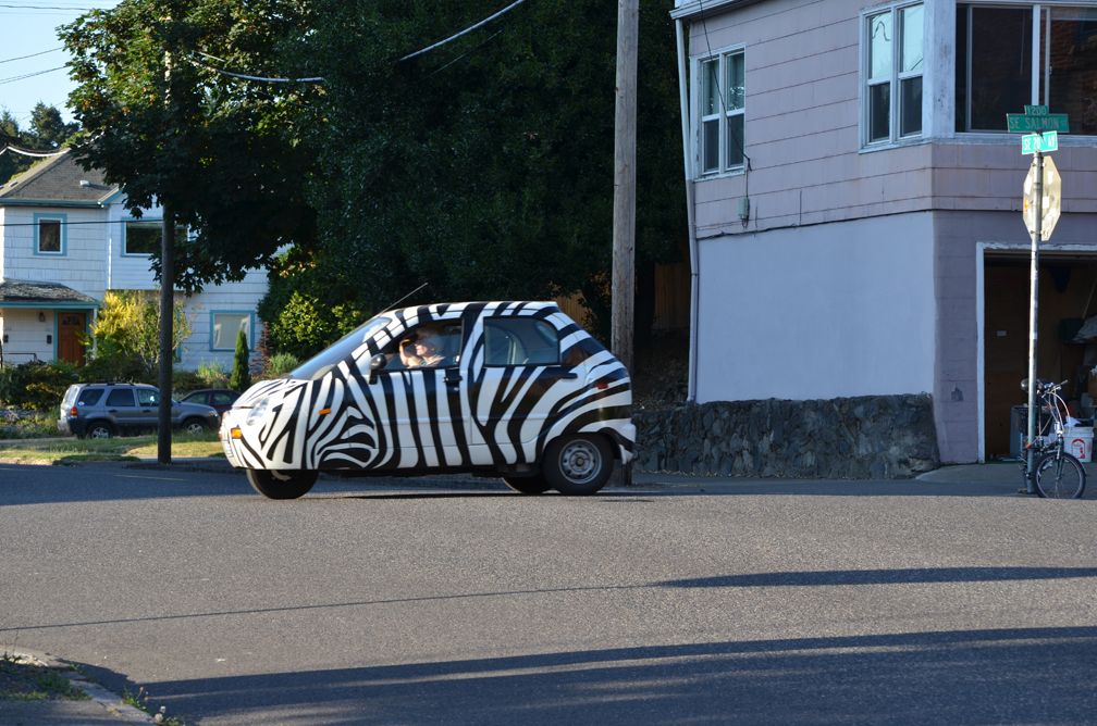 Zebra Car | Smithsonian Photo Contest | Smithsonian Magazine