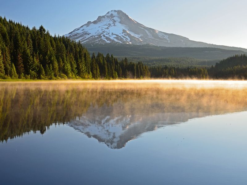 Golden Fog | Smithsonian Photo Contest | Smithsonian Magazine