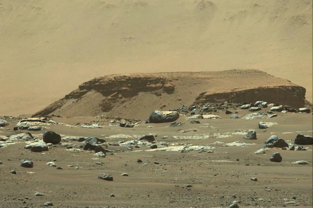 mars rover finding
