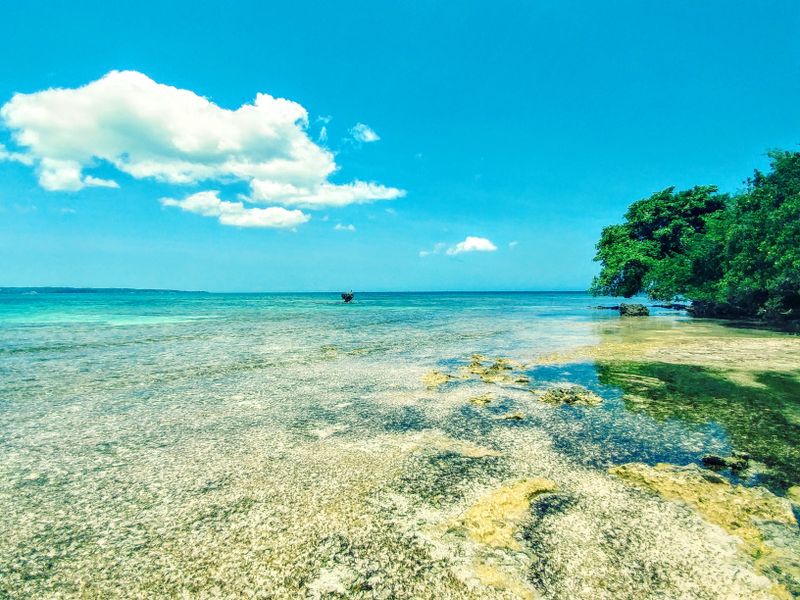 Jamaican water | Smithsonian Photo Contest | Smithsonian Magazine