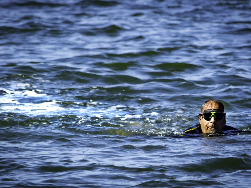 Swimming in the Bay | Smithsonian Photo Contest | Smithsonian Magazine