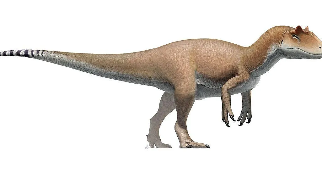 allosaurus