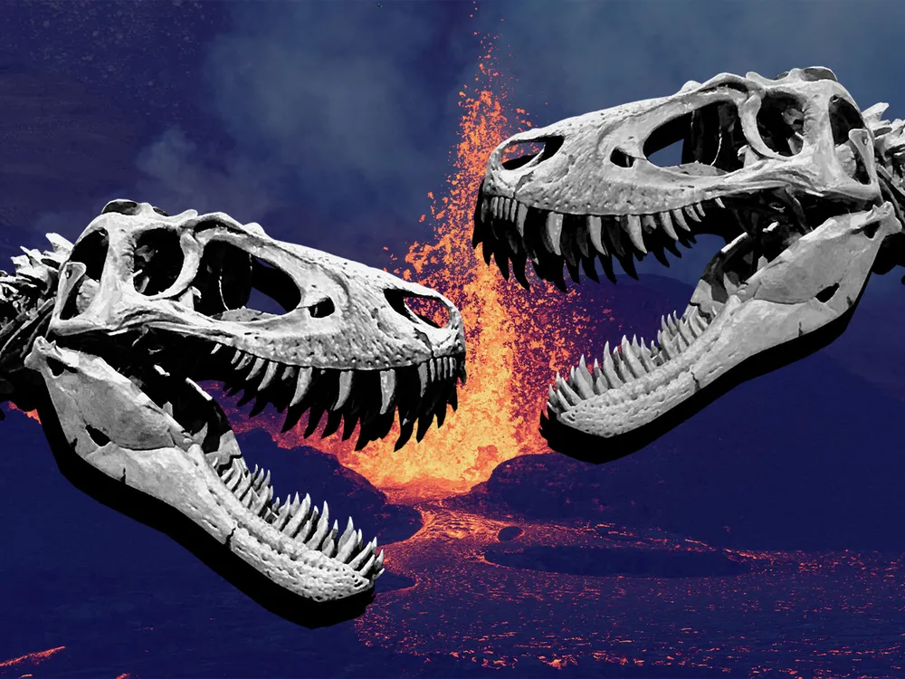 Busted and Broken Fossils Show How Dinosaurs Fought