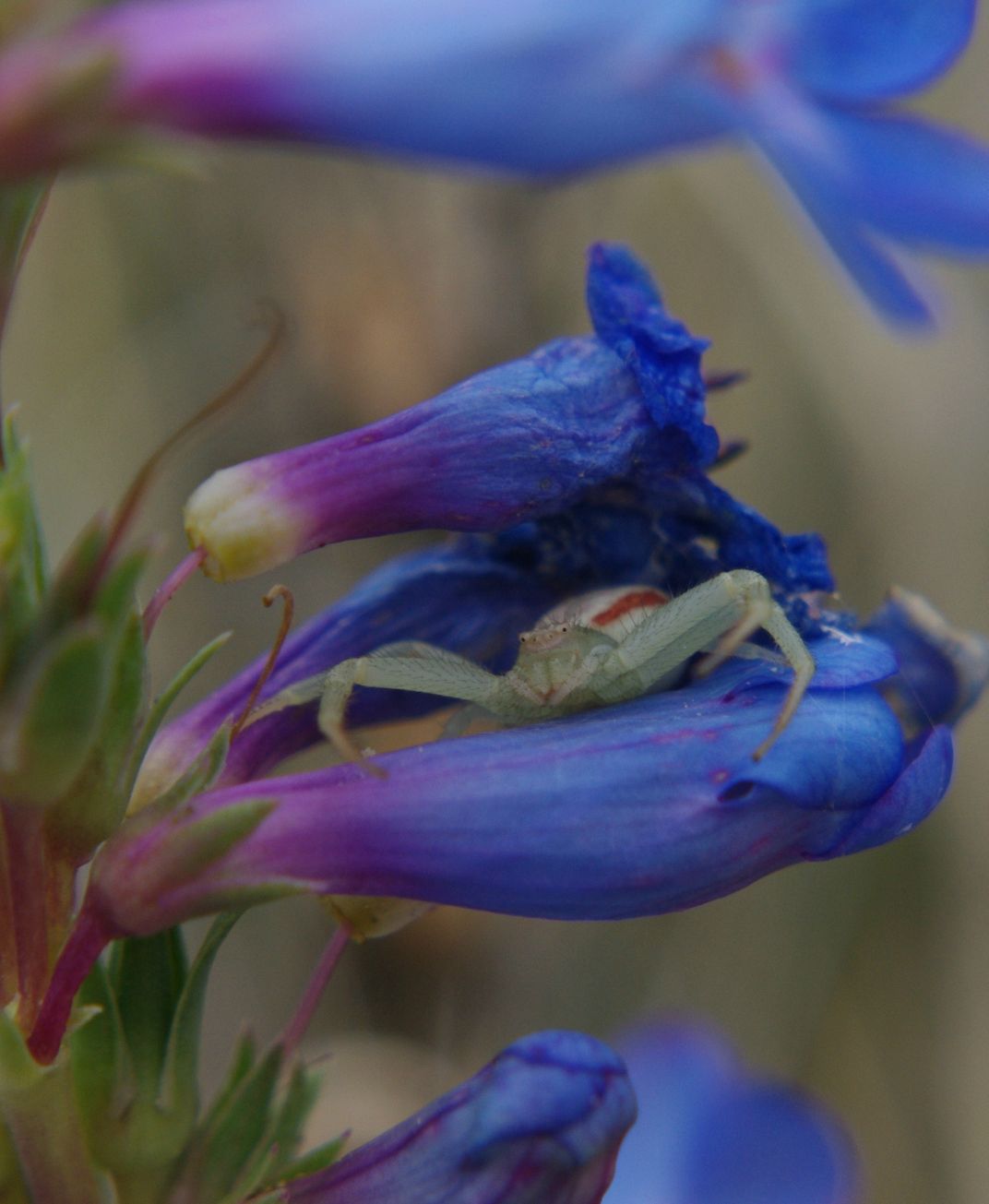 Tiny Creature | Smithsonian Photo Contest | Smithsonian Magazine
