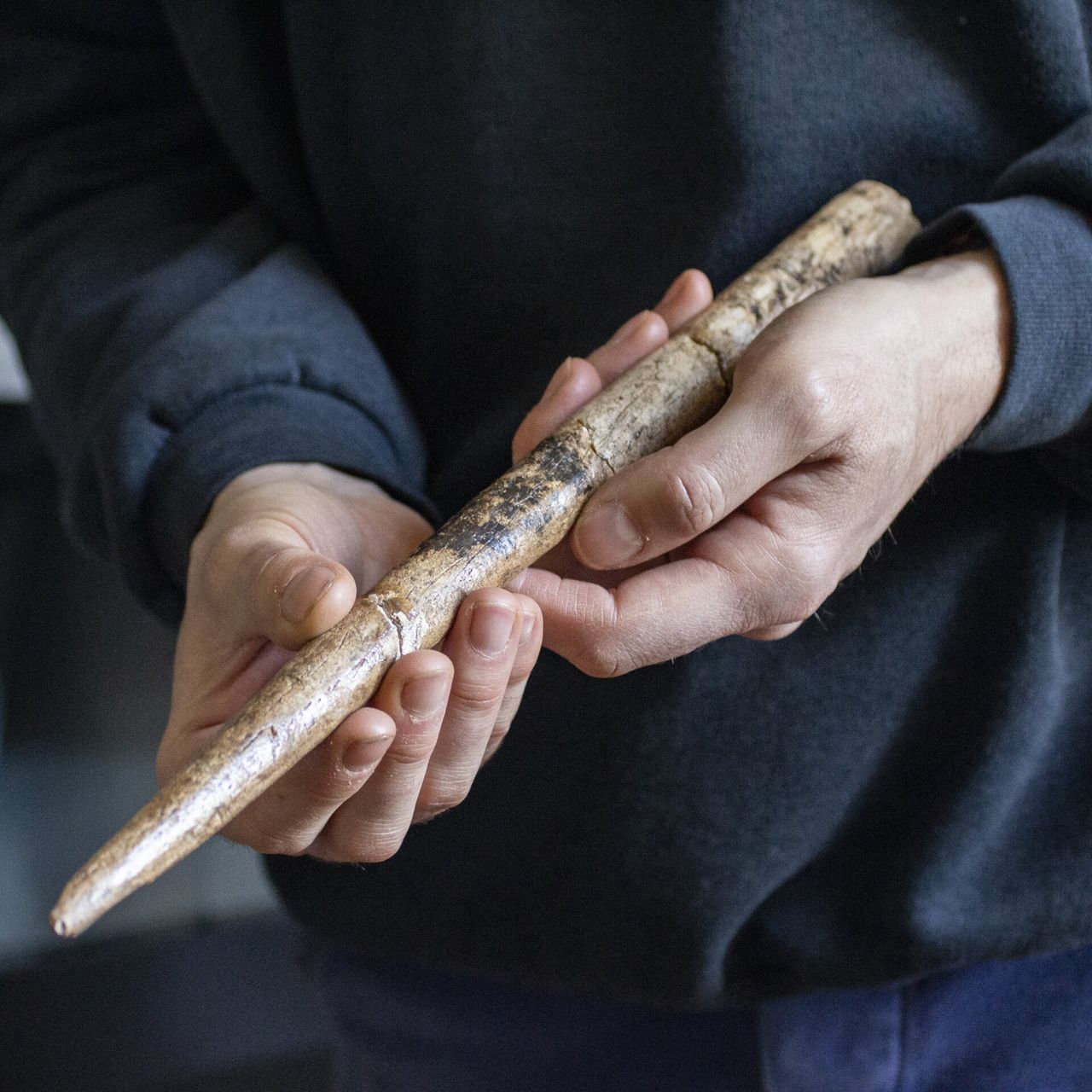 proto tools seahouses