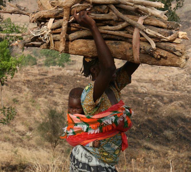 Collecting wood for cooking. | Smithsonian Photo Contest | Smithsonian ...