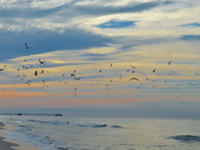 early morning on the beach | Smithsonian Photo Contest | Smithsonian ...