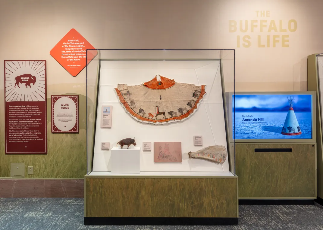 The Buffalo is Life: Inside the Symbiotic Relationship Between Bison ...