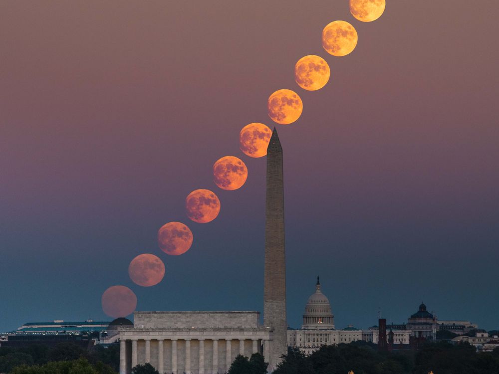 Hunter's Moon Trails | Smithsonian Photo Contest | Smithsonian Magazine