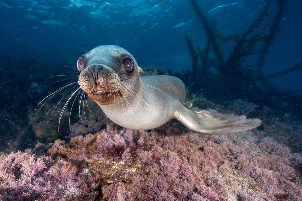 Smithsonian Magazine Daily Newsletter
