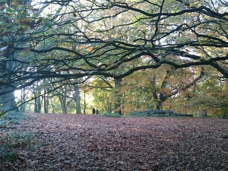 Whispering Trees | Smithsonian Photo Contest | Smithsonian Magazine