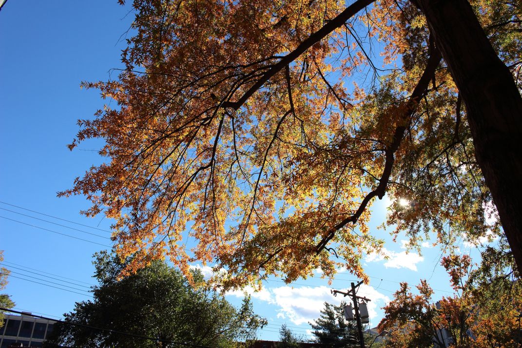 Glimpse of Autumn near the place I live. The weather is getting cold ...