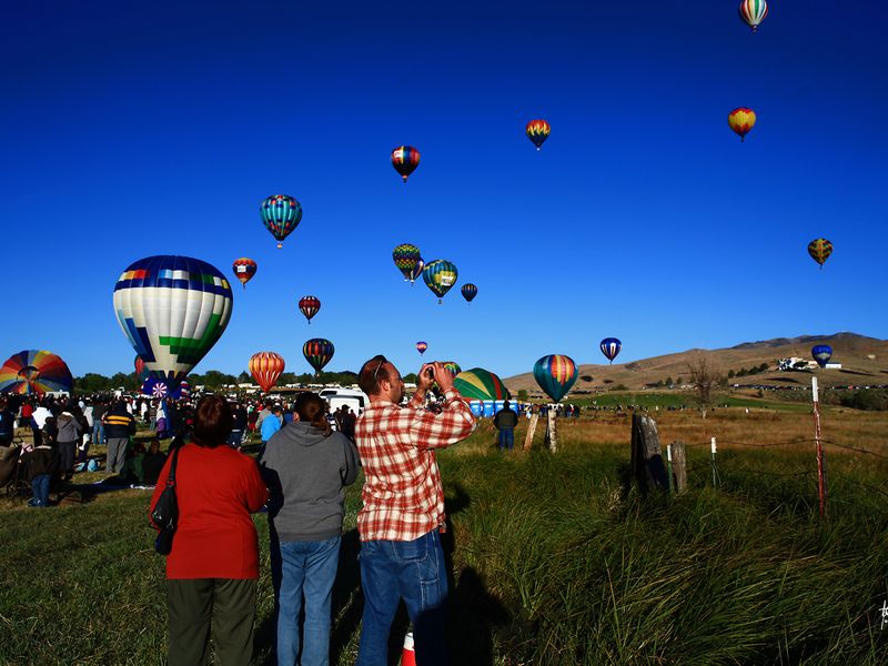 The Great Reno Air Balloon Race, Reno, Nevada | Smithsonian Photo ...