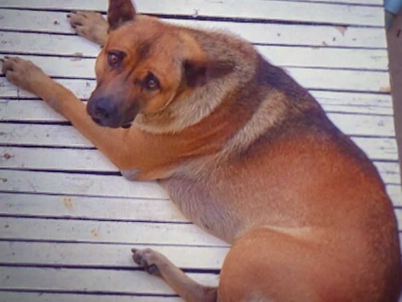 A Pity Look | Smithsonian Photo Contest | Smithsonian Magazine