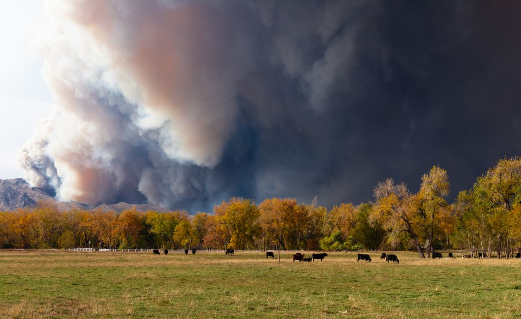 Fire and Fall Colors during the Calwood Fire | Smithsonian Photo ...