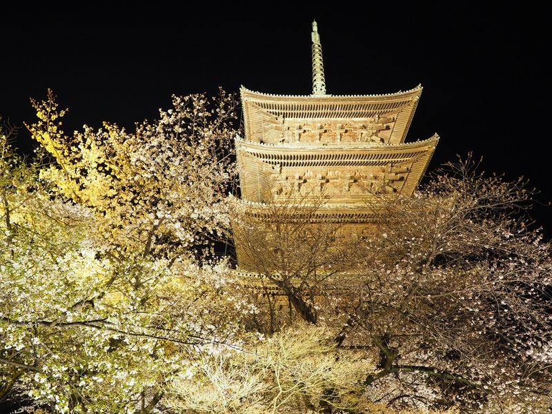 Sakura and Temple | Smithsonian Photo Contest | Smithsonian Magazine