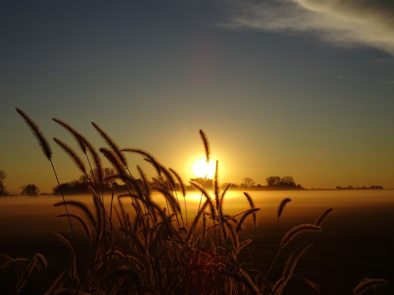Frosty Morning Sunrise | Smithsonian Photo Contest | Smithsonian Magazine