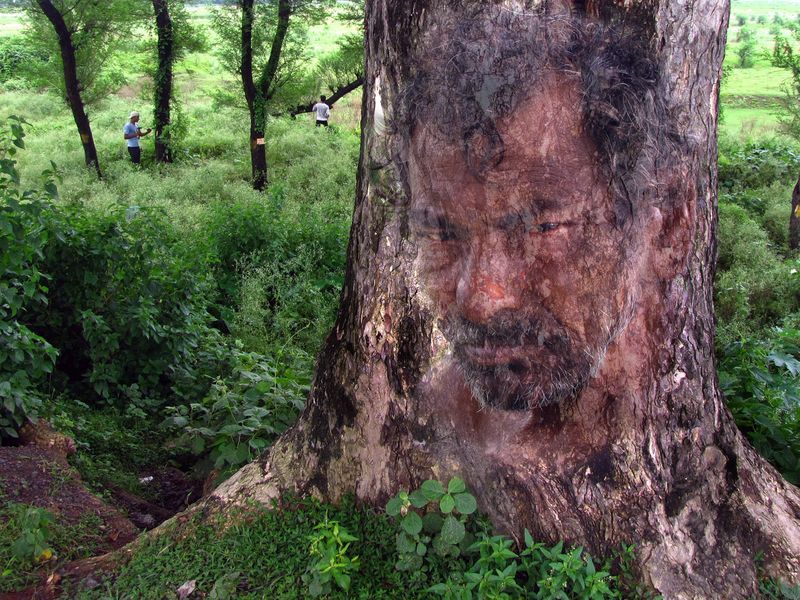 TREE MAN | Smithsonian Photo Contest | Smithsonian Magazine