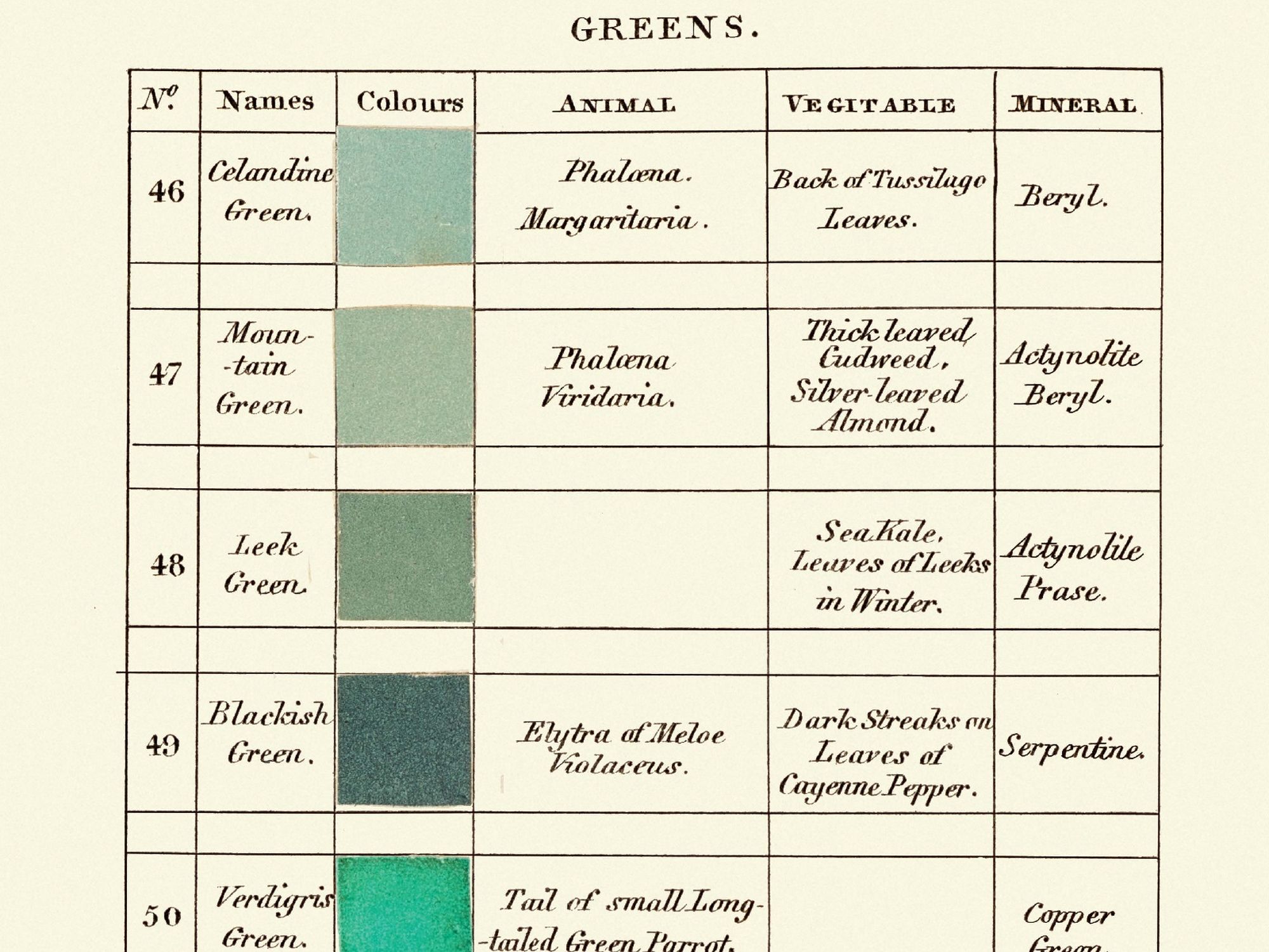 Name the Springtime Colors Around You With the Guidebook Charles Darwin ...