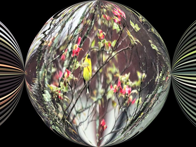 Watching From Above | Smithsonian Photo Contest | Smithsonian Magazine