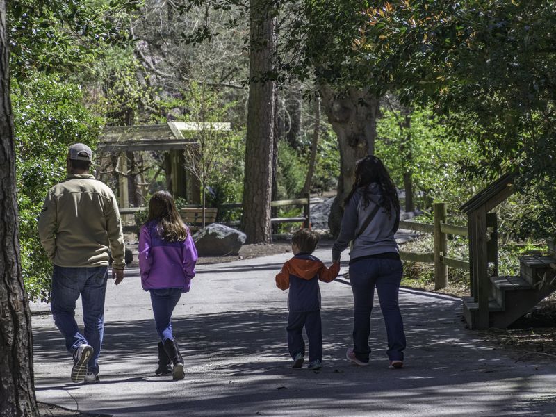 Family Day at the Zoo | Smithsonian Photo Contest | Smithsonian Magazine