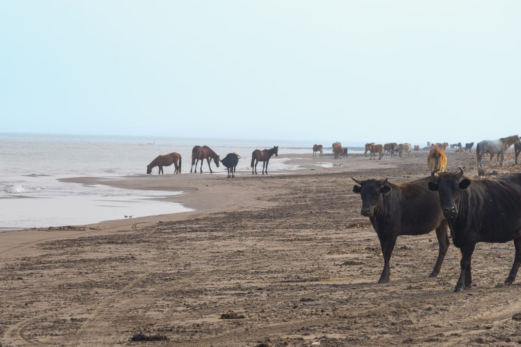 Beach without people | Smithsonian Photo Contest | Smithsonian Magazine