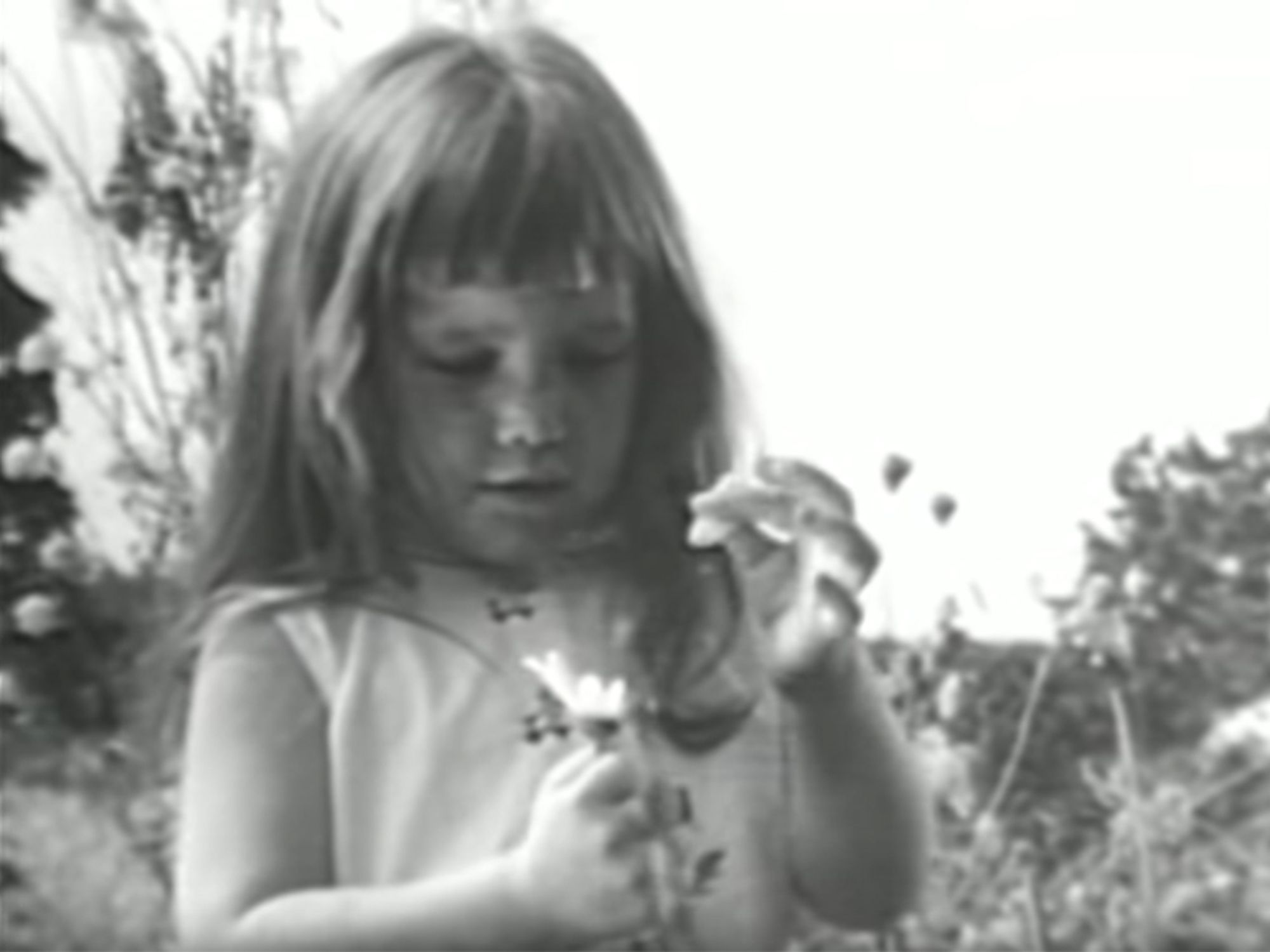 How the “Daisy” Ad Changed Everything About Political Advertising