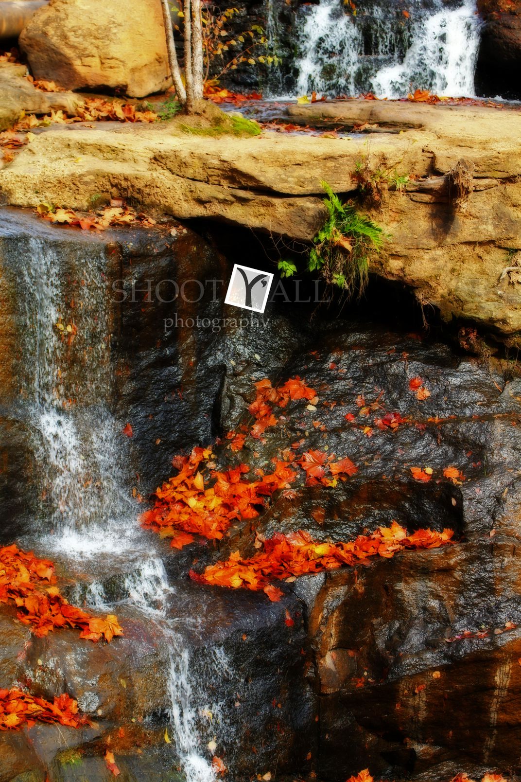Cascade of Orange | Smithsonian Photo Contest | Smithsonian Magazine
