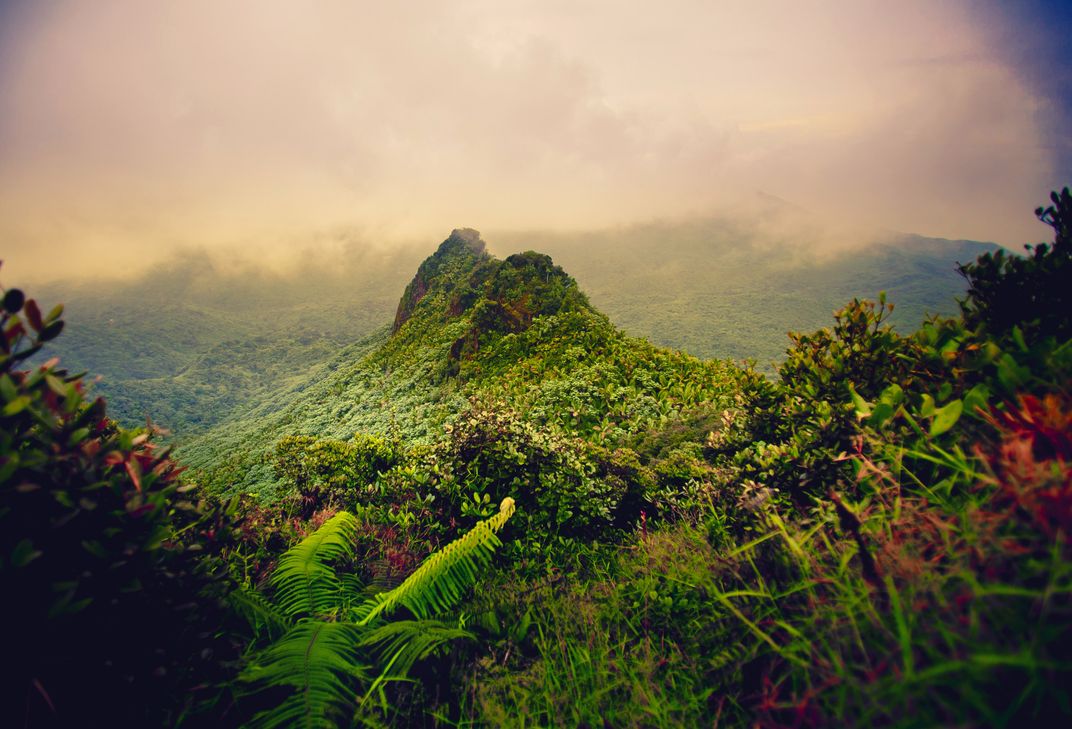 My two friends and I reached the top of El Yunque in Puerto Rico just ...