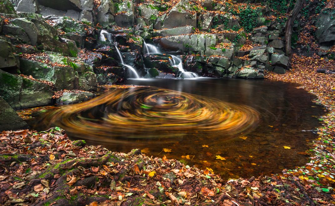 Autumn is in movement | Smithsonian Photo Contest | Smithsonian Magazine