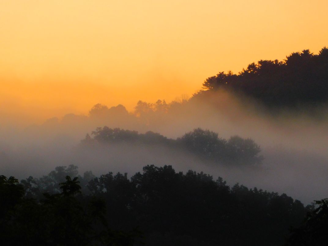 A Touch of Fog in the Early Morning Sun | Smithsonian Photo Contest ...