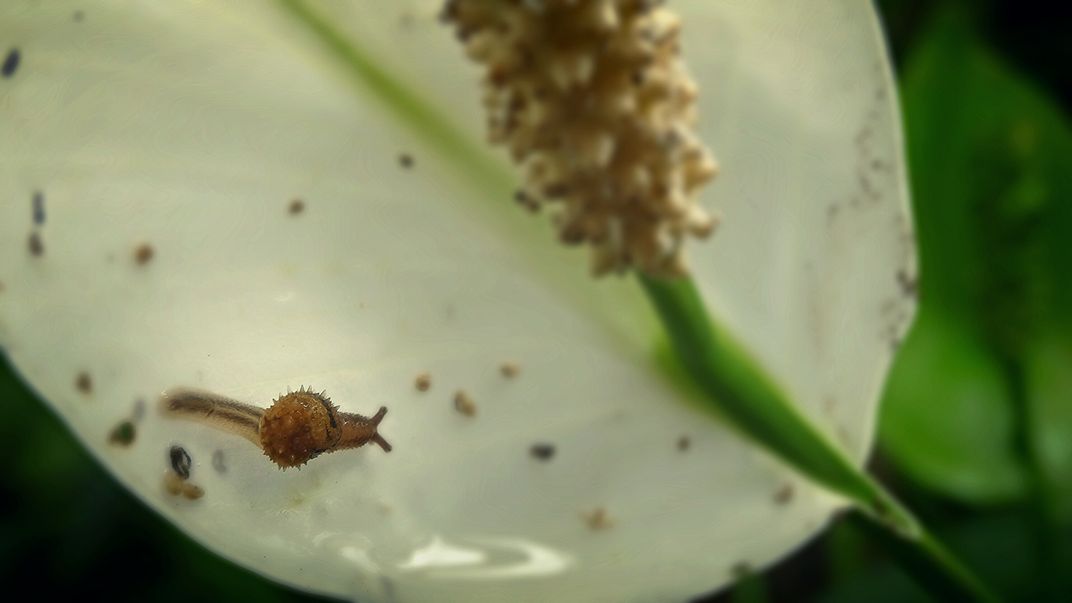 Molaska's home.... | Smithsonian Photo Contest | Smithsonian Magazine