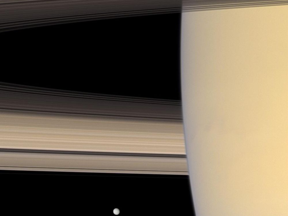 mimas surface gravity