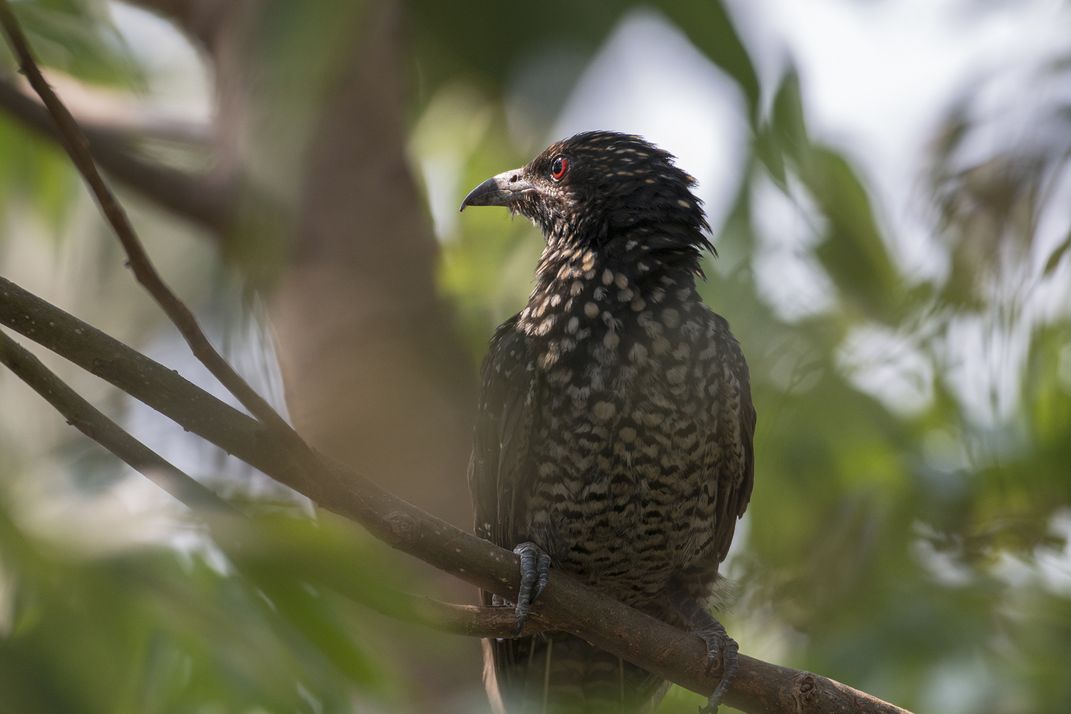 In the Spotlight | Smithsonian Photo Contest | Smithsonian Magazine