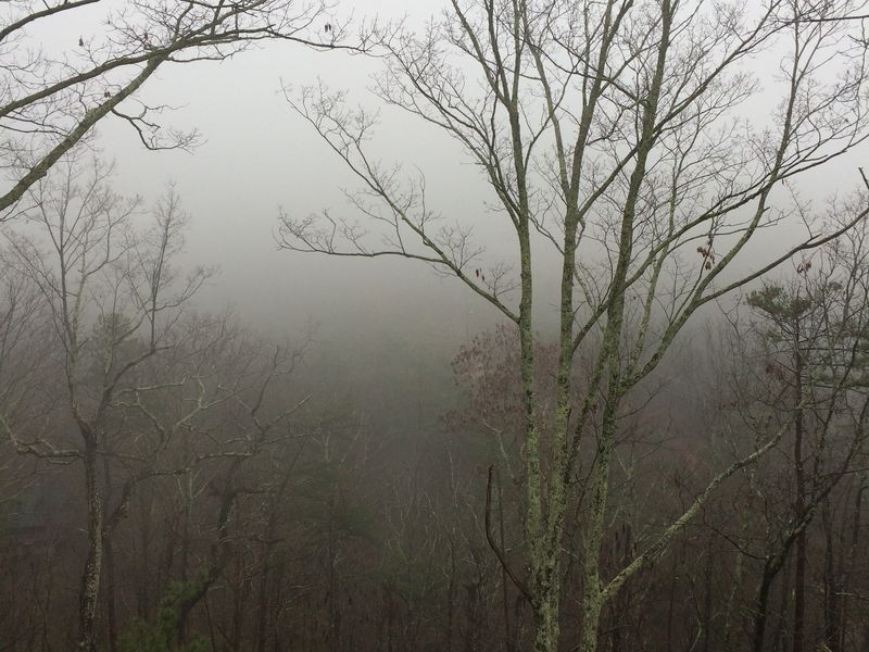 Smokey Fog in the Great Smokey Mountains | Smithsonian Photo Contest ...