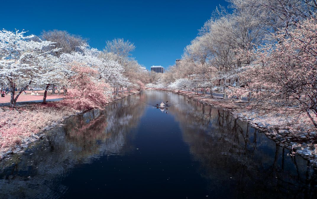 Spring is here | Smithsonian Photo Contest | Smithsonian Magazine