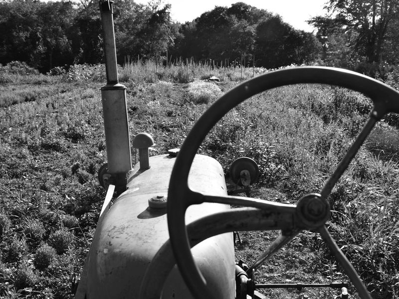Flower Tractor | Smithsonian Photo Contest | Smithsonian Magazine