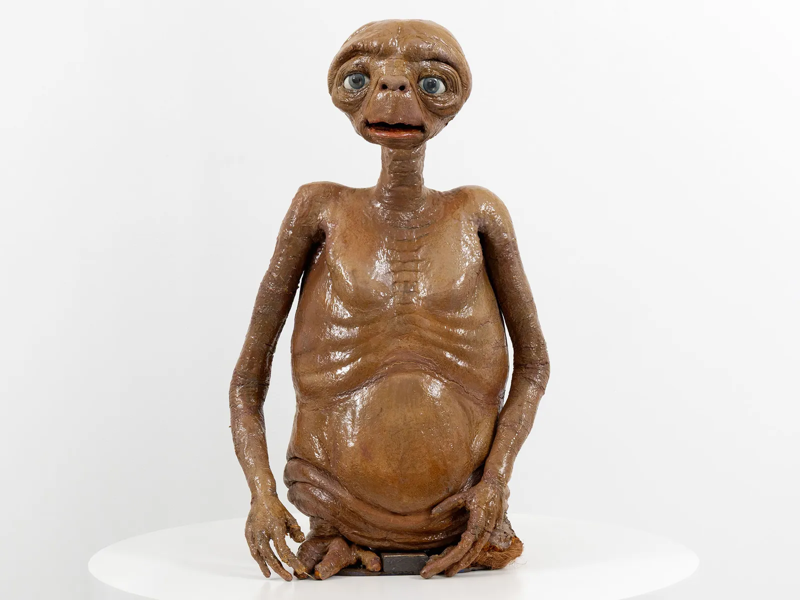 terrestrial bodies examples