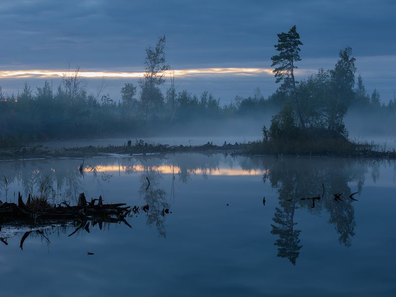 Night of the marshes | Smithsonian Photo Contest | Smithsonian Magazine