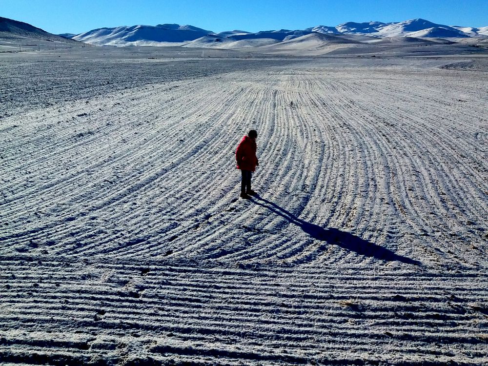Lonely child in the snowy fields | Smithsonian Photo Contest ...