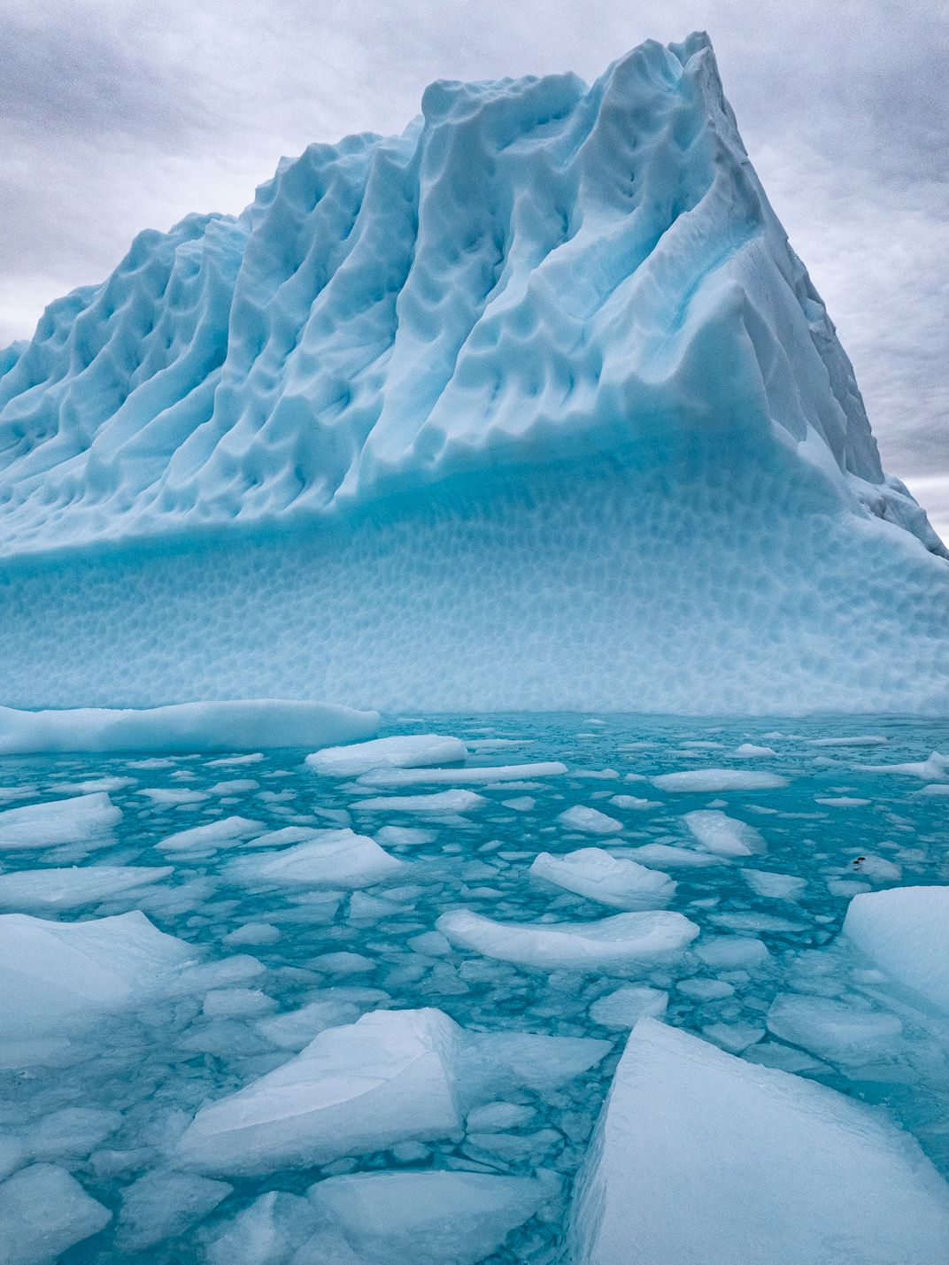 Iceberg | Smithsonian Photo Contest | Smithsonian Magazine
