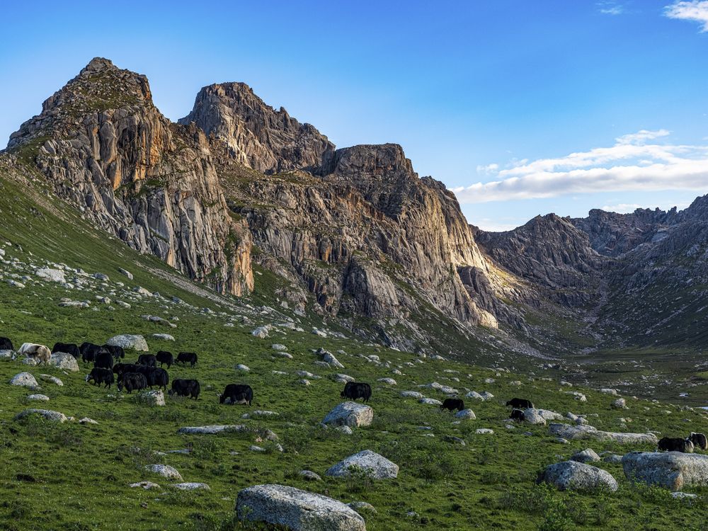 Boat of the plateau | Smithsonian Photo Contest | Smithsonian Magazine