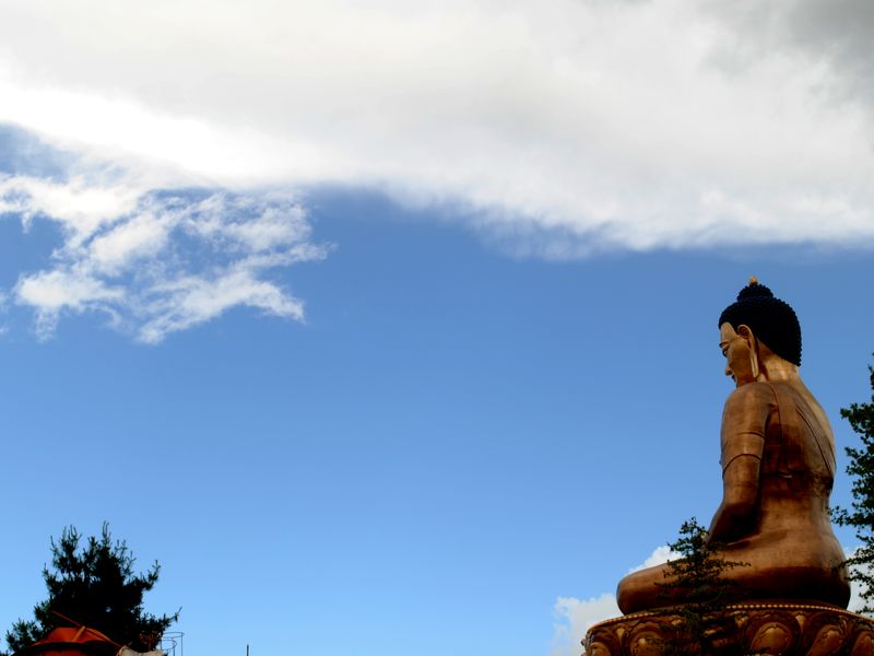 The statue of the Lord Buddha has been settled on the mountain in ...