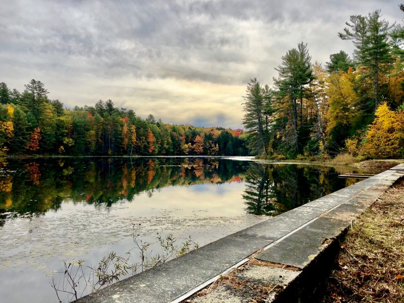 Reflections on Halls Pond | Smithsonian Photo Contest | Smithsonian ...