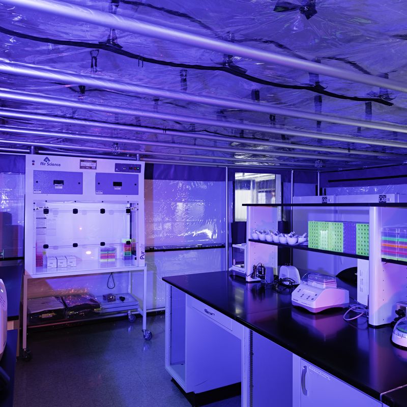 Clean Room Hair Nets