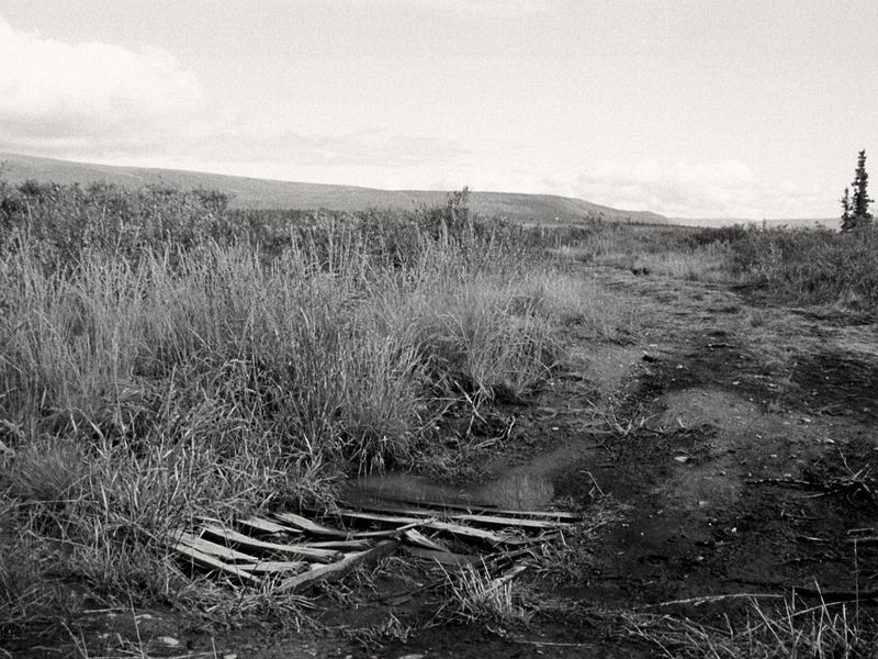 Walking the Stampede Trail, Alaska. | Smithsonian Photo Contest ...