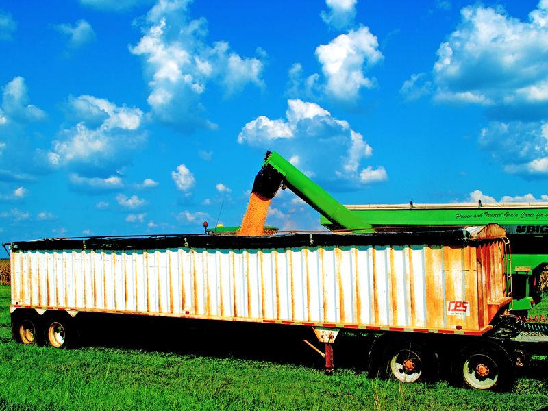 Unloading the grain cart into the grain truck | Smithsonian Photo ...