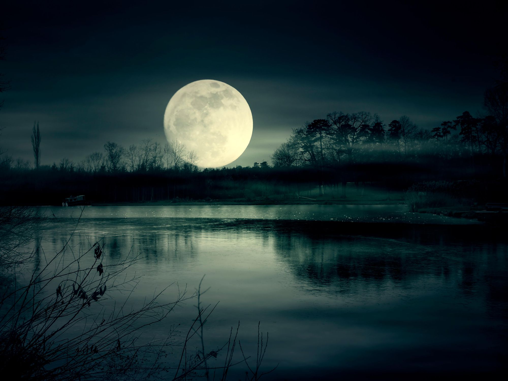 How Moonlight Sets Nature's Rhythms